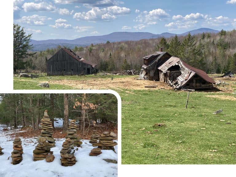Interpretative Trail Development – Tom Hikes NE