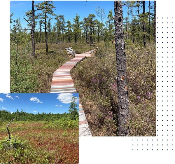 Bogs Life Book Trails Listing – Tom Hikes NE