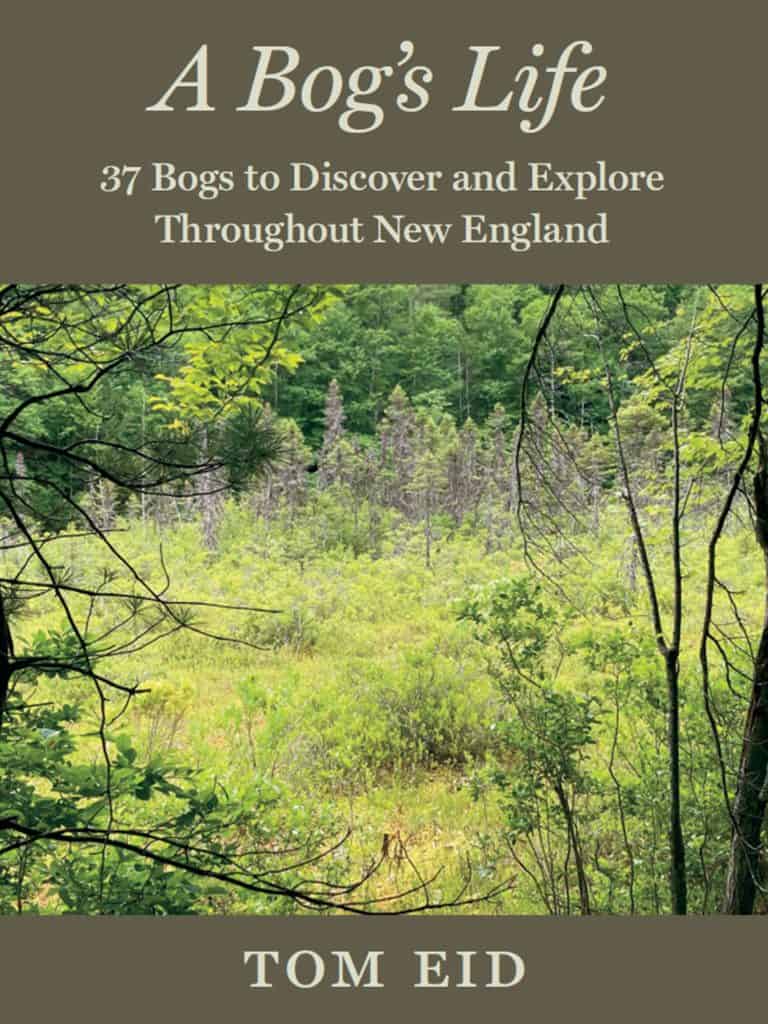 A Bog’s Life Overview – Tom Hikes NE
