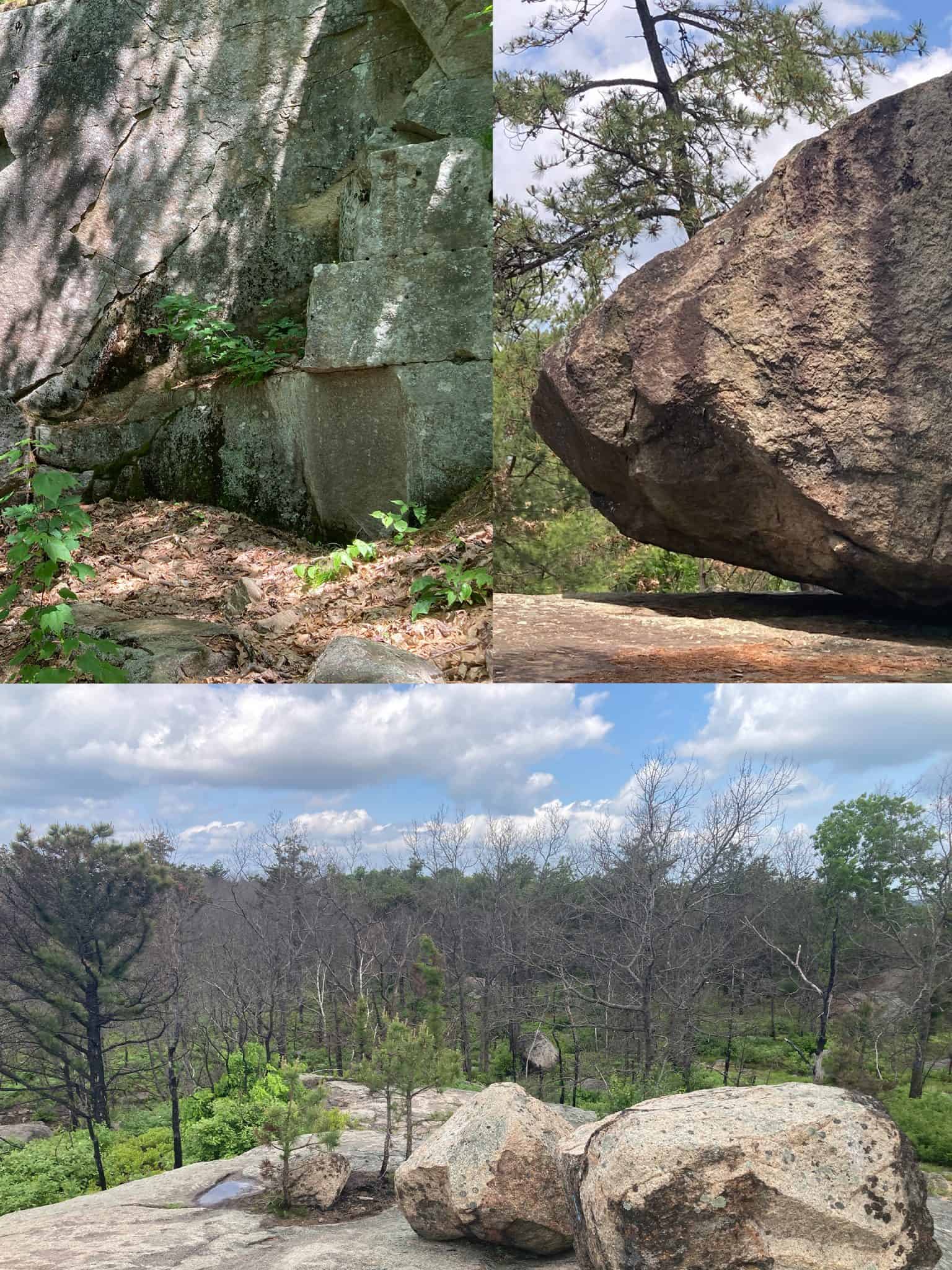 Forests For Us Hiking Examples – Tom Hikes NE